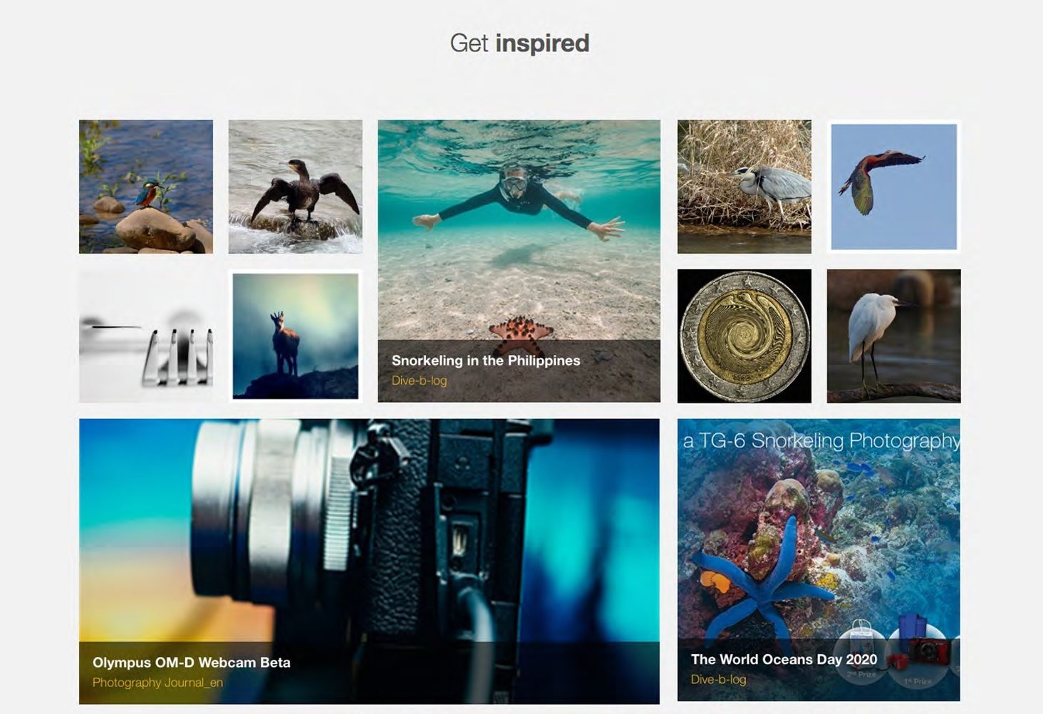 Olympus – Building a Bespoke Community Using Verint's Community Platform | Verint