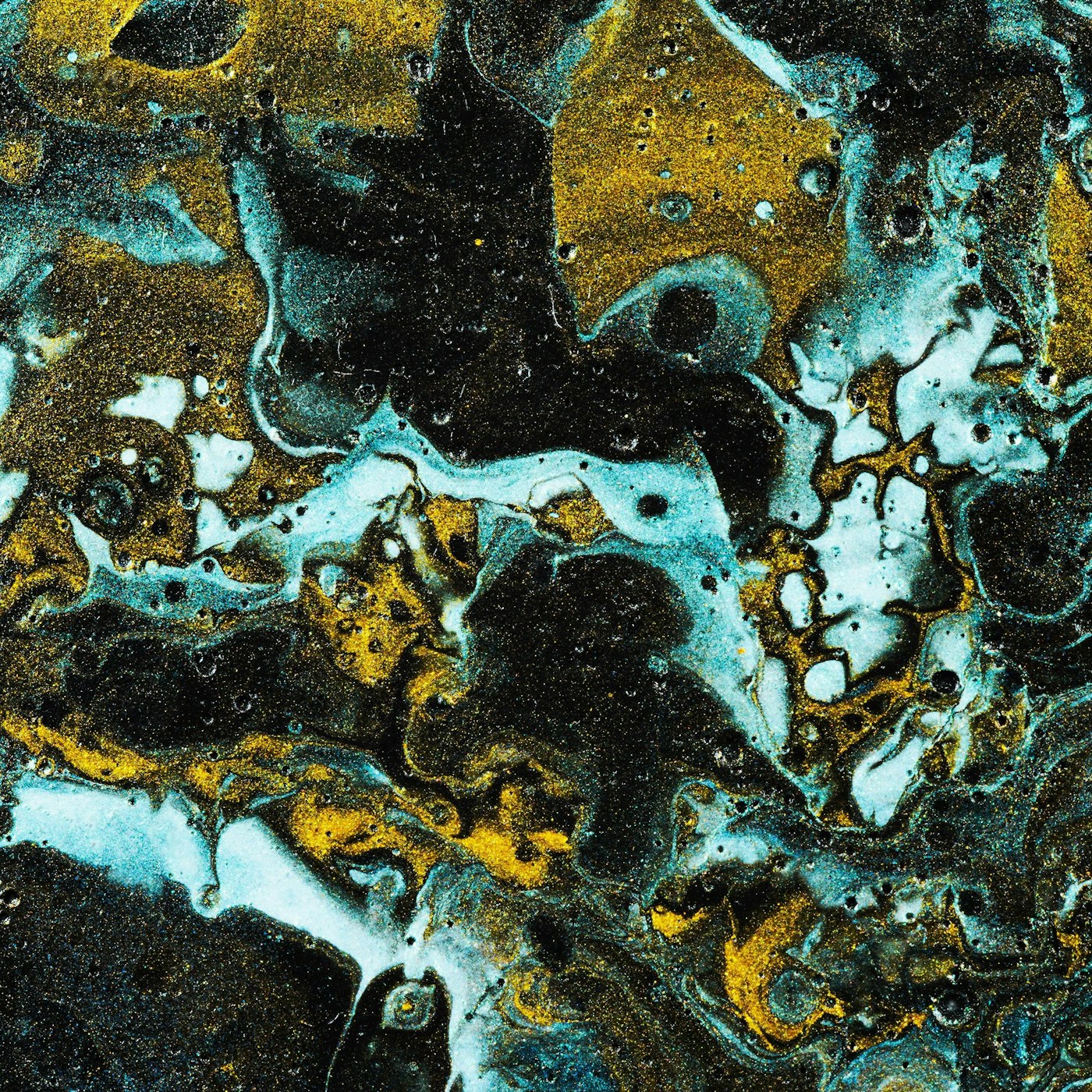 Support - Video & Fraud Security | Verint