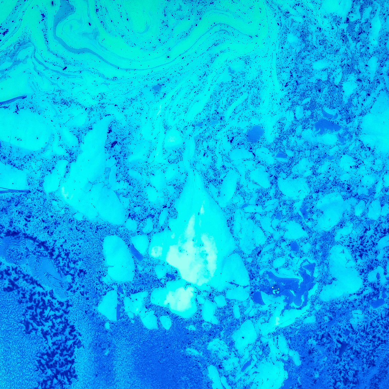 Speech Analytics Software For Contact Centers Verint