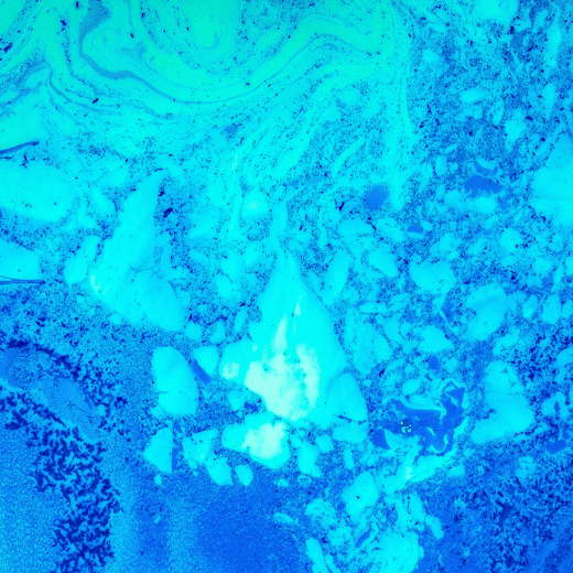 Workforce Forecasting & Scheduling | Verint