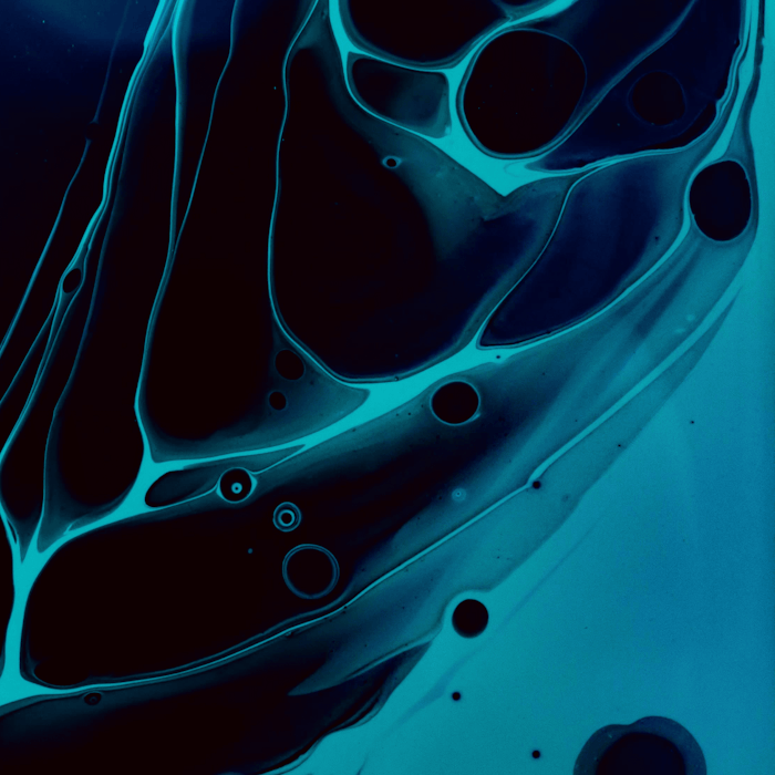 Workforce Engagement - Verint